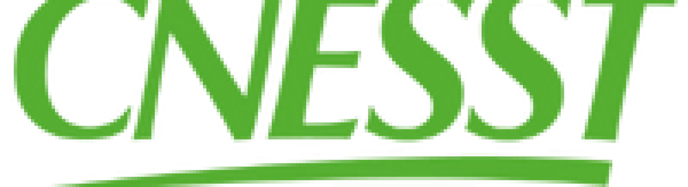 CNESST - Formations Motivation au travail - Catherine Lachance