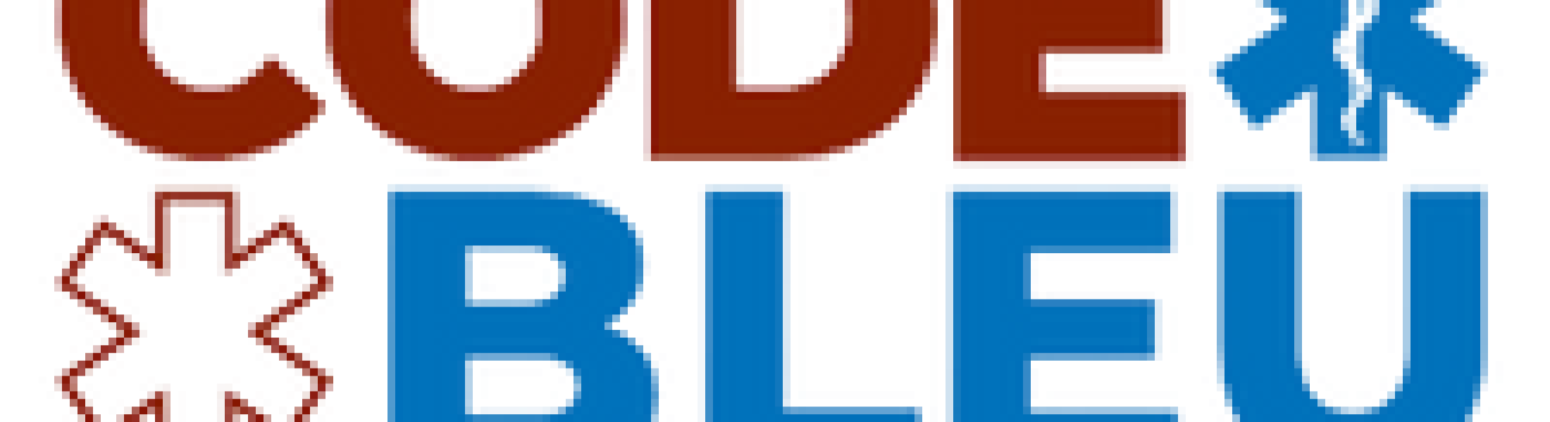 Code Bleu - Formations Motivation au travail - Catherine Lachance